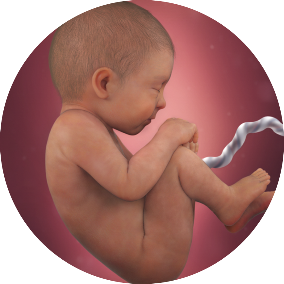 Giving Birth Where Legend FM