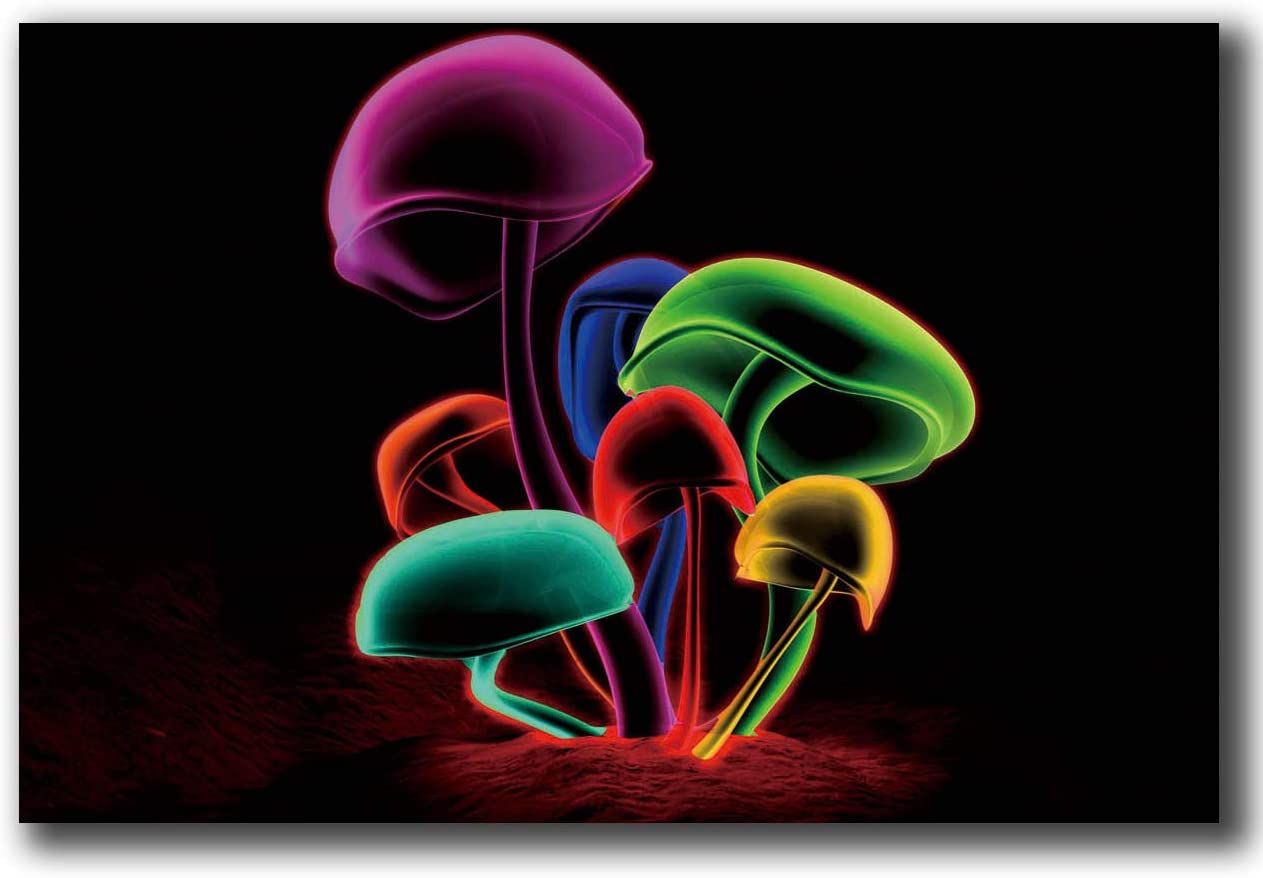 The sound of Music in Plants and Fungi - Legend FM
